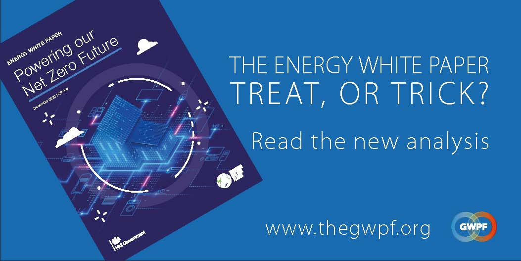 The Energy White Paper 2020: An analysis - The Global Warming Policy ...